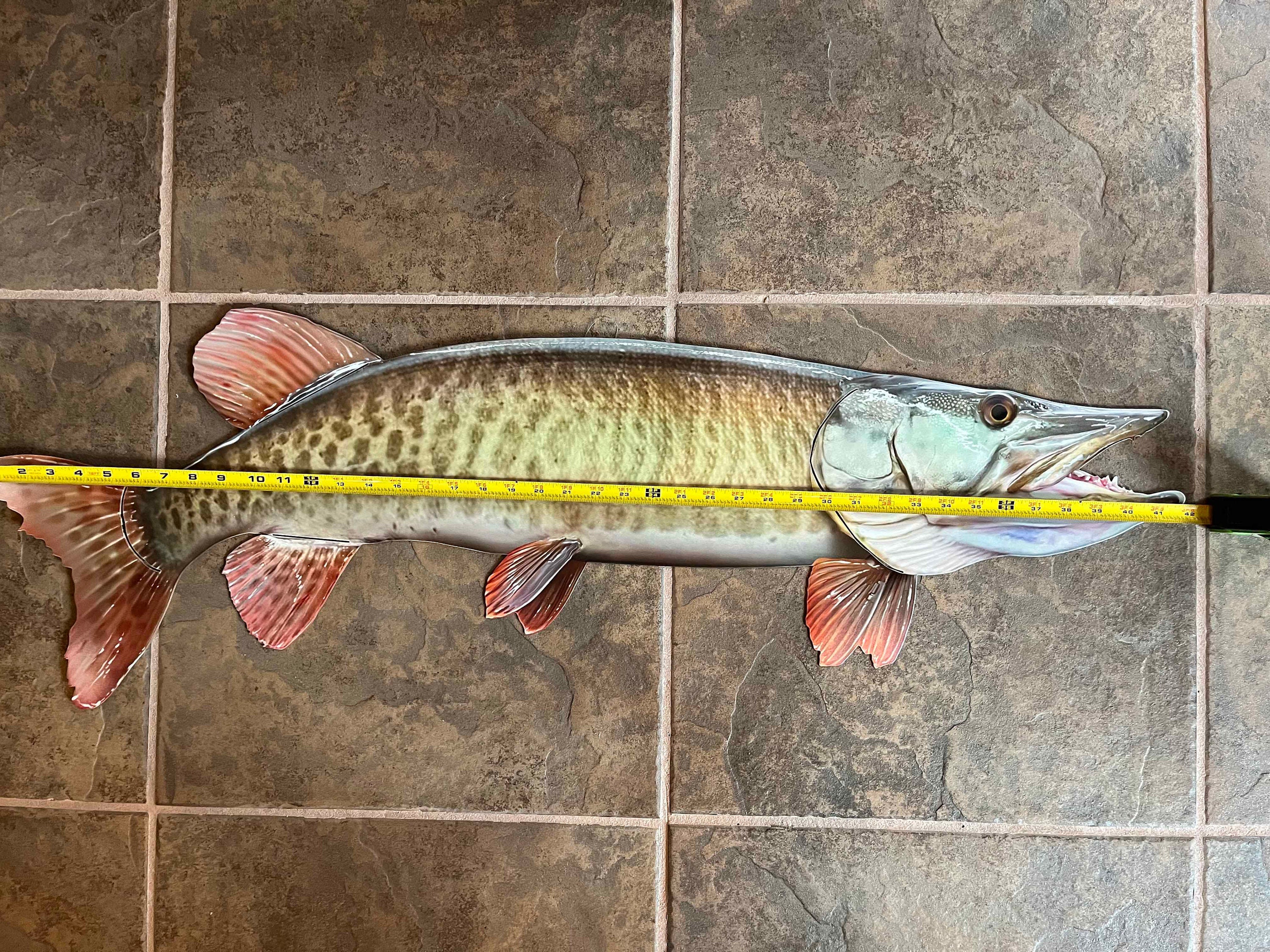 42 Inch Musky Replica, Metal, Musky Fish Mounts for Sale, Musky Replica ...