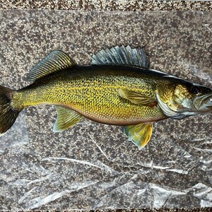 Walleye Replica - 30 Inch 2D Metal Walleye Fish Art Replica, Faux ...