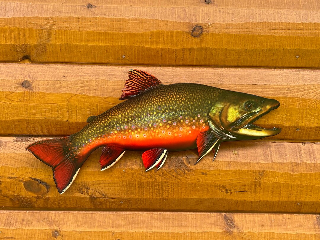 Brook Trout Replica - 23 Inch Trophy Brook Trout 2D Flat Metal Decor ...