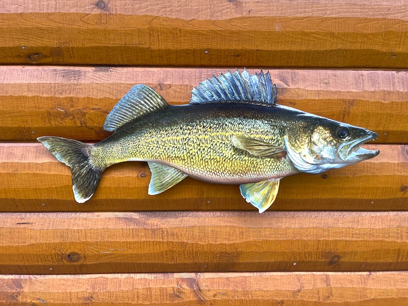 Walleye Replica - 30 Inch 2D Metal Walleye Fish Art Replica, Faux ...