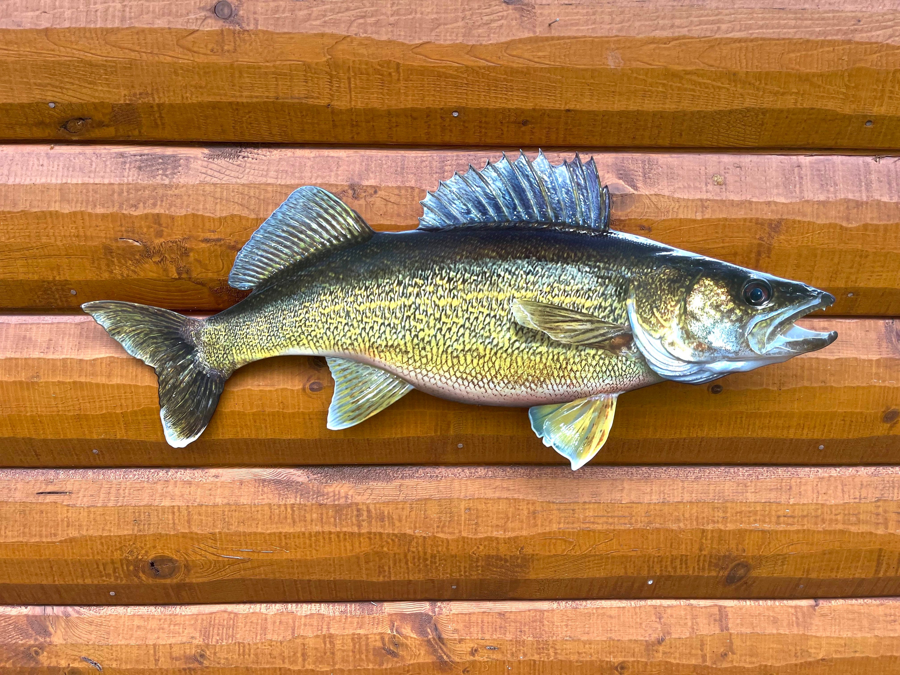 Walleye Replica - 30 Inch 2D Metal Walleye Fish Art Replica, Faux ...