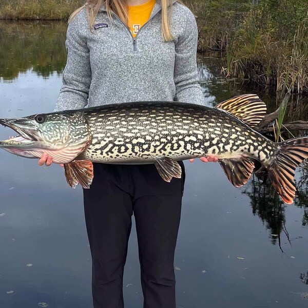 Northern Pike - Etsy