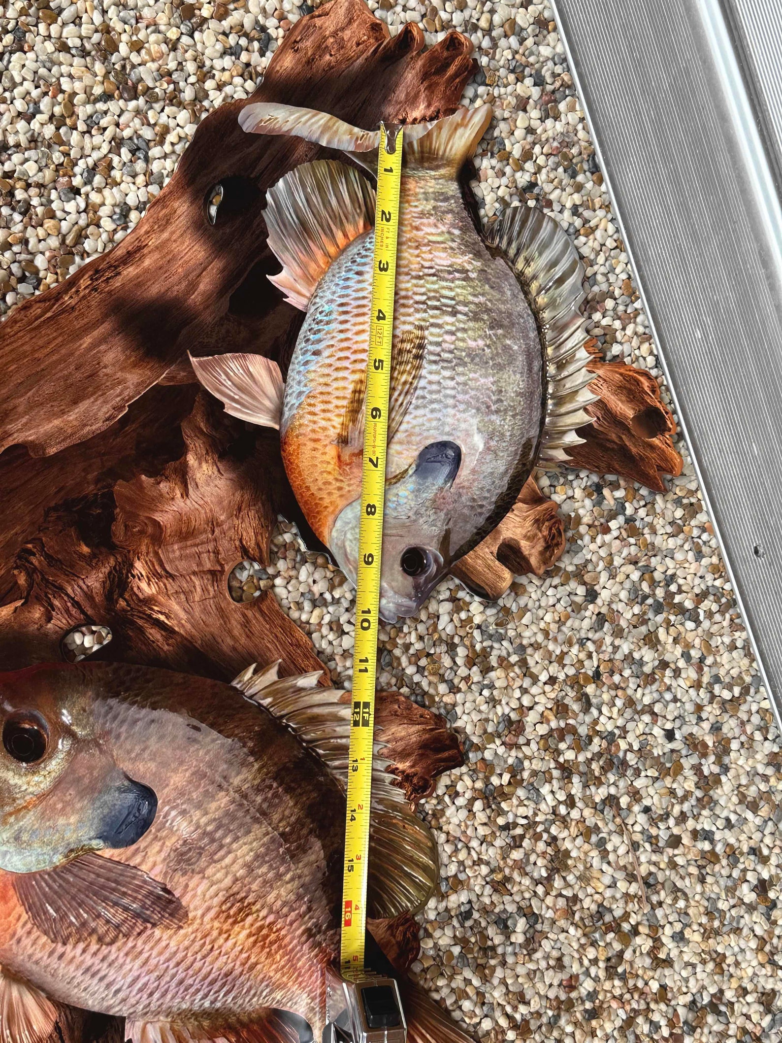 Bluegill Replica Driftwood Scene Rustic Home Decor 2D Metal - Etsy