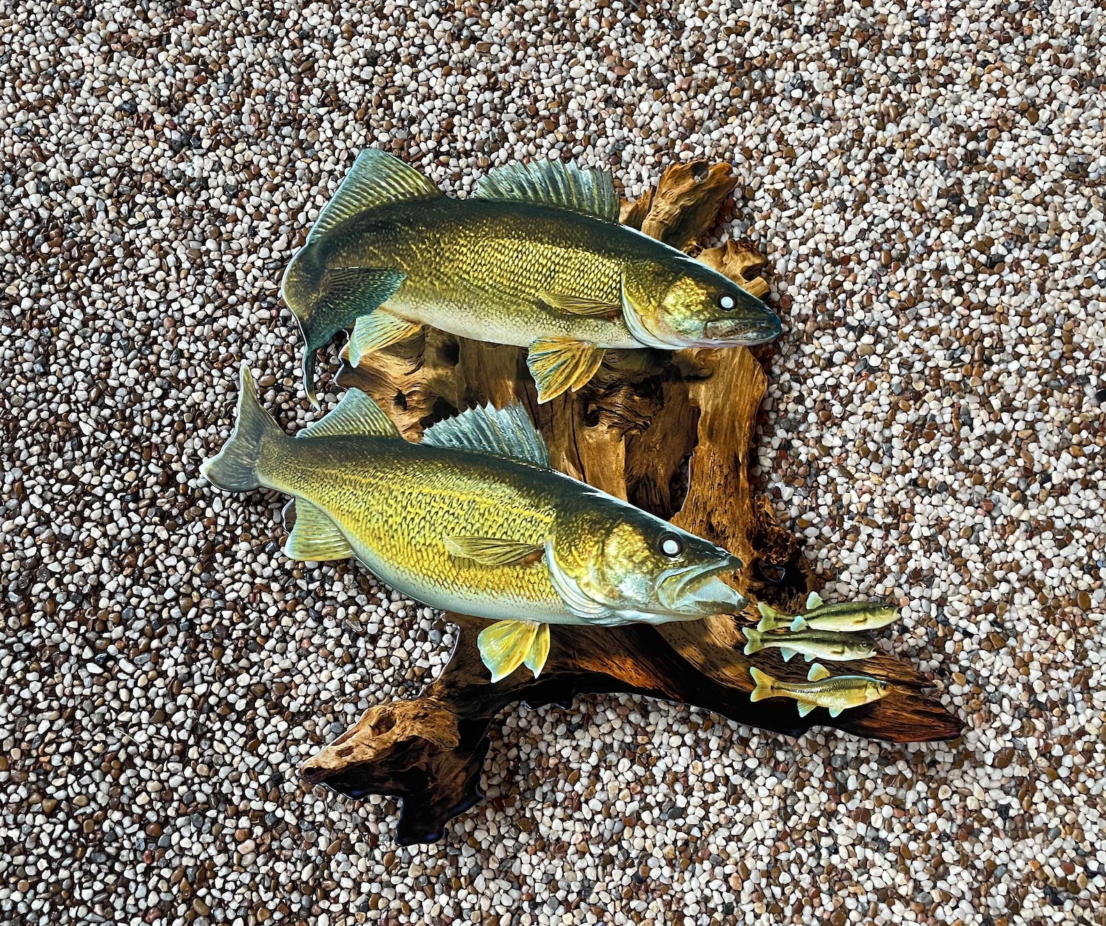 Walleye Replica Duo Wall Art - Realistic 2D Metal Walleye Driftwood ...