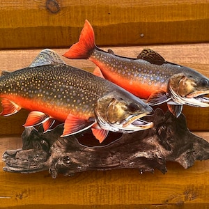 Brook Trout Replica Duo Wall Art -19 Inch Realistic 2D (flat) Metal ...