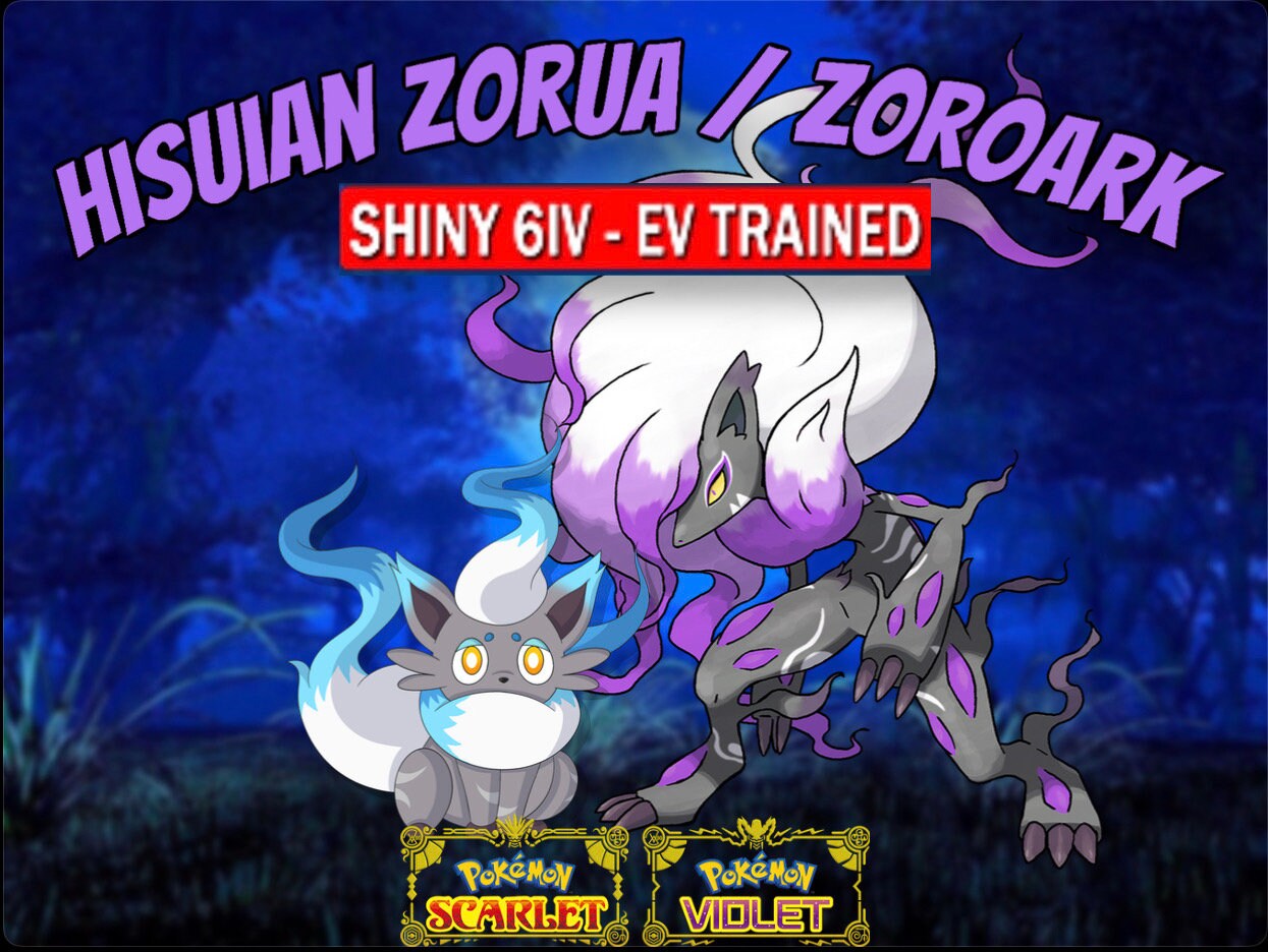 Pokemon Scarlet and Violet Shiny 6IV EV Trained Hisuian Zorua and Zoroark - Etsy