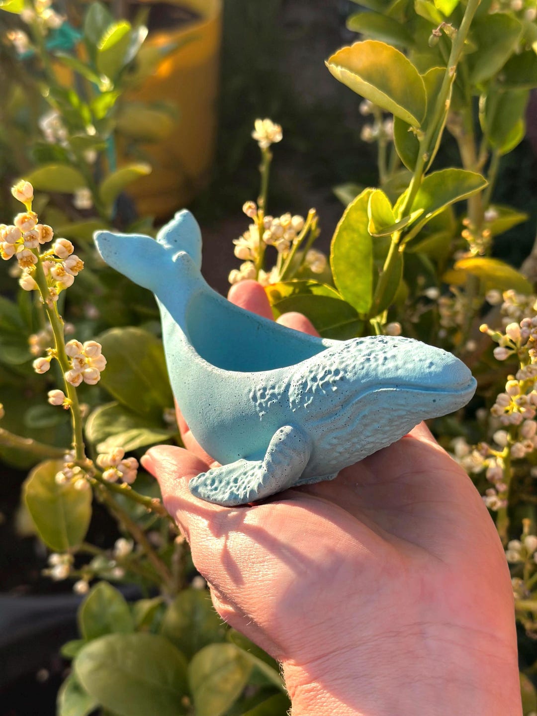 Concrete Pot, Blue Whale, Pots for Succulents, Home Decor, Urban Design, Cement Holder ...