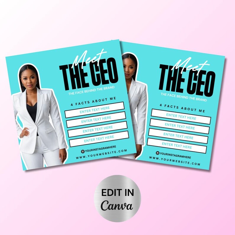 Meet the CEO Flyer, DIY Canva Flyer, Business Flyer, Fun Facts About Me ...