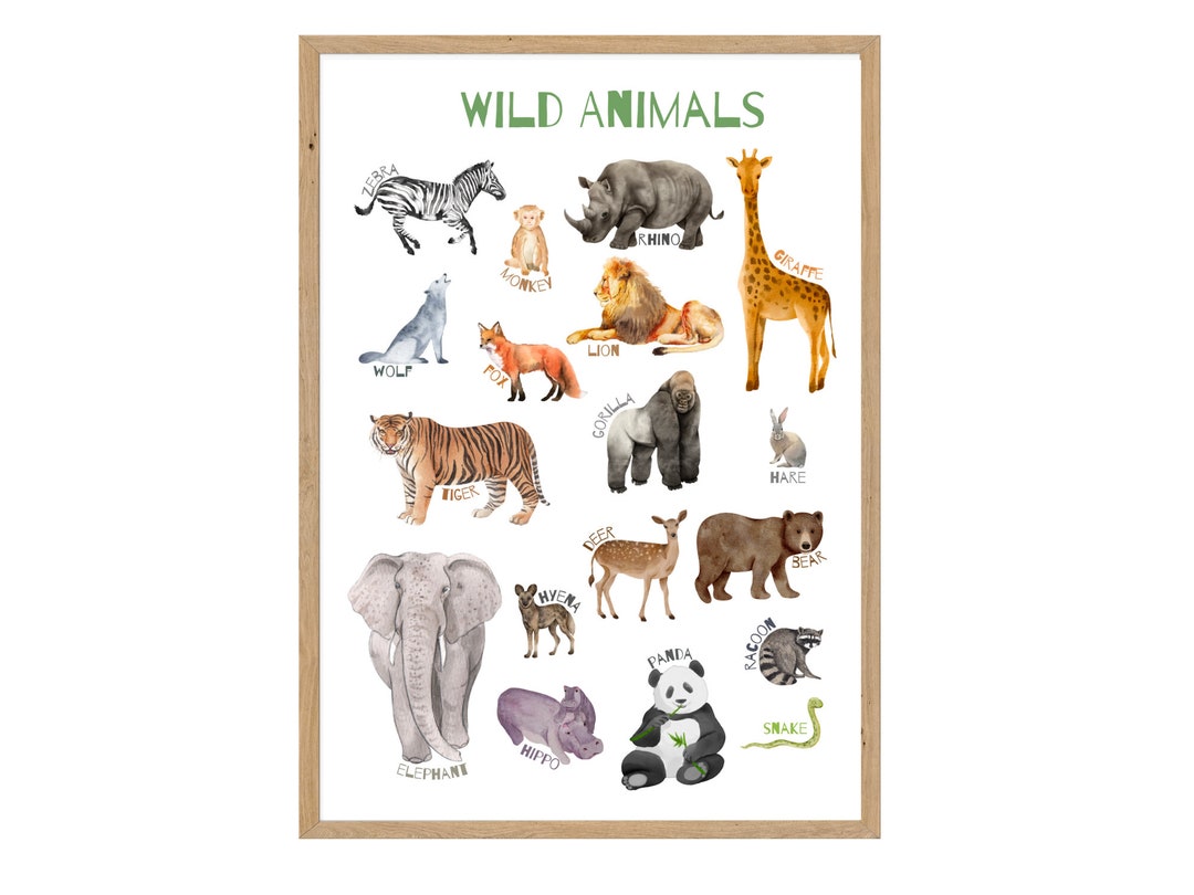 Wild Animals Educational Poster for Children Printables - Etsy