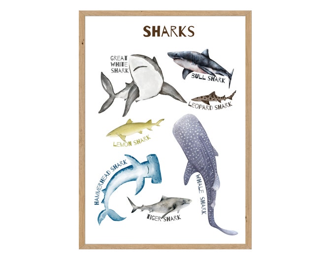 Sharks Educational Poster for Children Printables Educational Digital ...