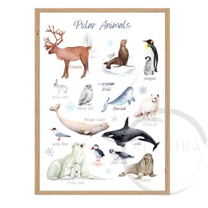 Animal Poster Children Nursery Decor Coral Reef Polar Desert Freshwater ...