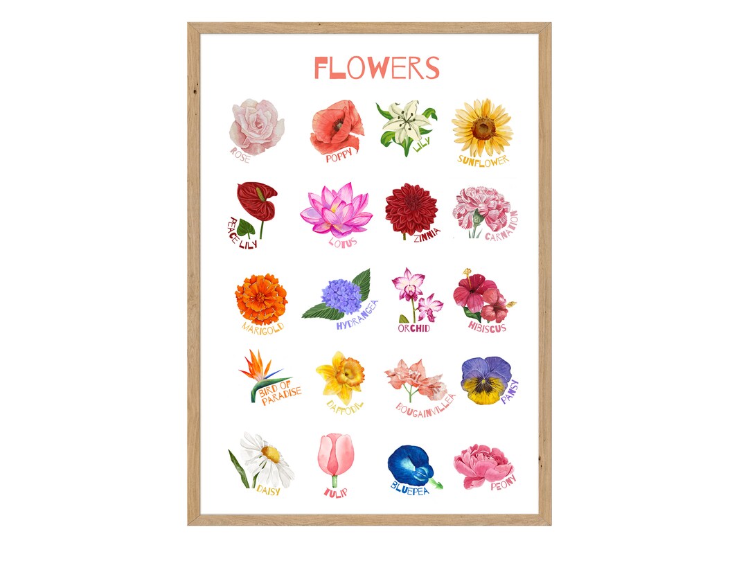 Flowers Poster for Children | Printable| Educational | Digital | Poster ...