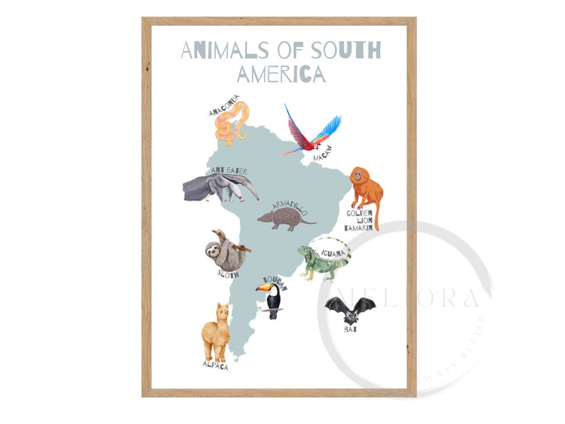 World Map Continent Animals Children Educational Posters Set of 7 ...