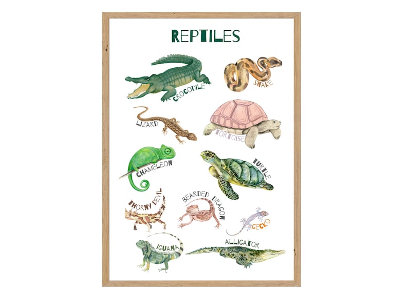 Reptiles Educational Poster for Children | Printables| Educational ...