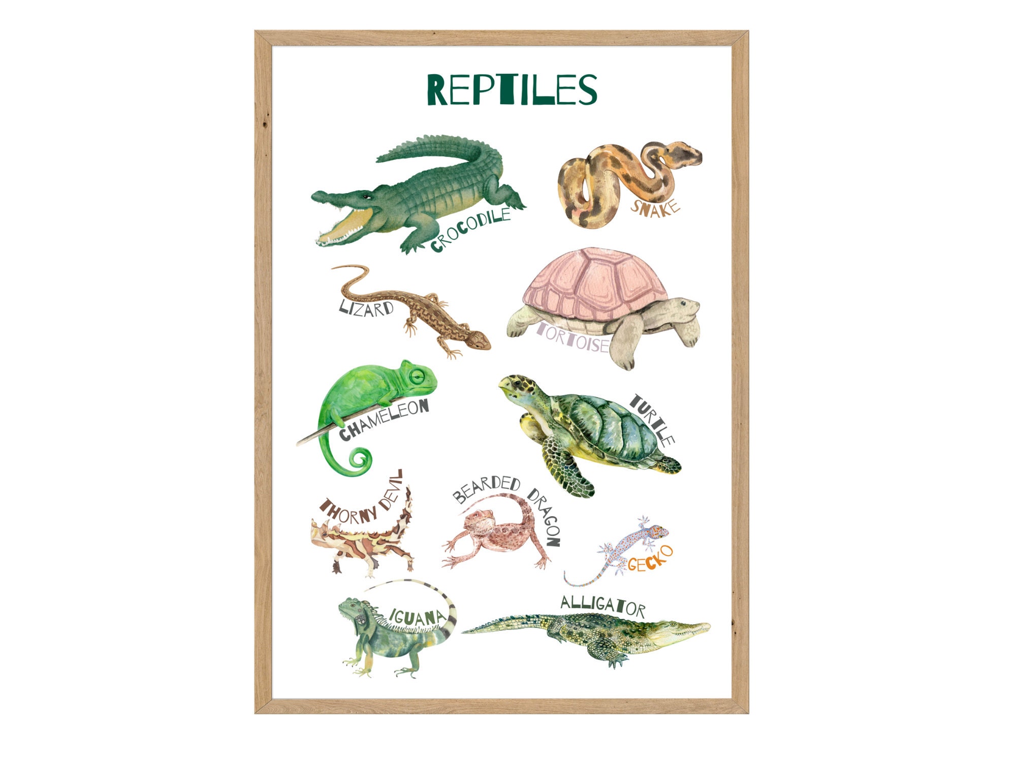 Reptiles Educational Poster for Children | Printables| Educational | Digital Poster | Homeschool ...