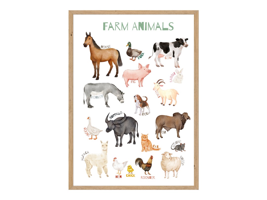 Farm Animals Educational Poster for Children | Printables| Educational ...