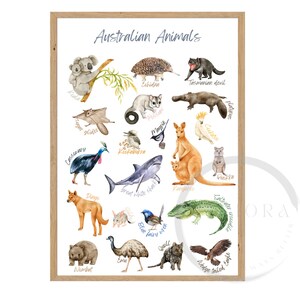 Animal Poster Children Nursery Decor Coral Reef Polar Desert Freshwater ...