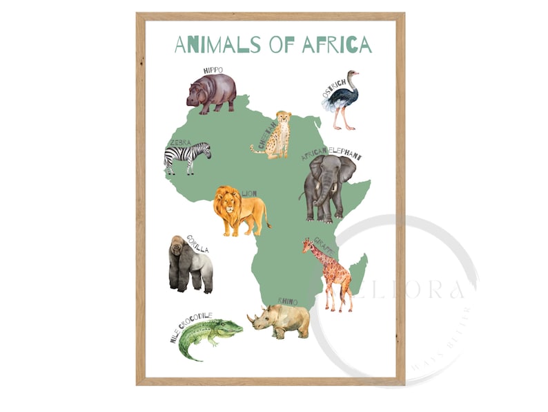World Map Continent Animals Children Educational Posters Set of 7 ...