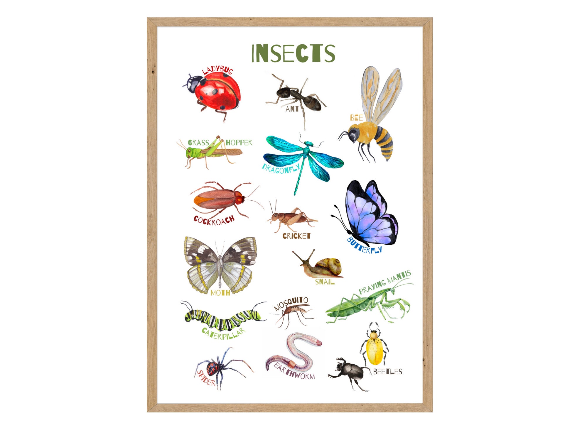 Insects Educational Poster for Children | Printable| Education ...
