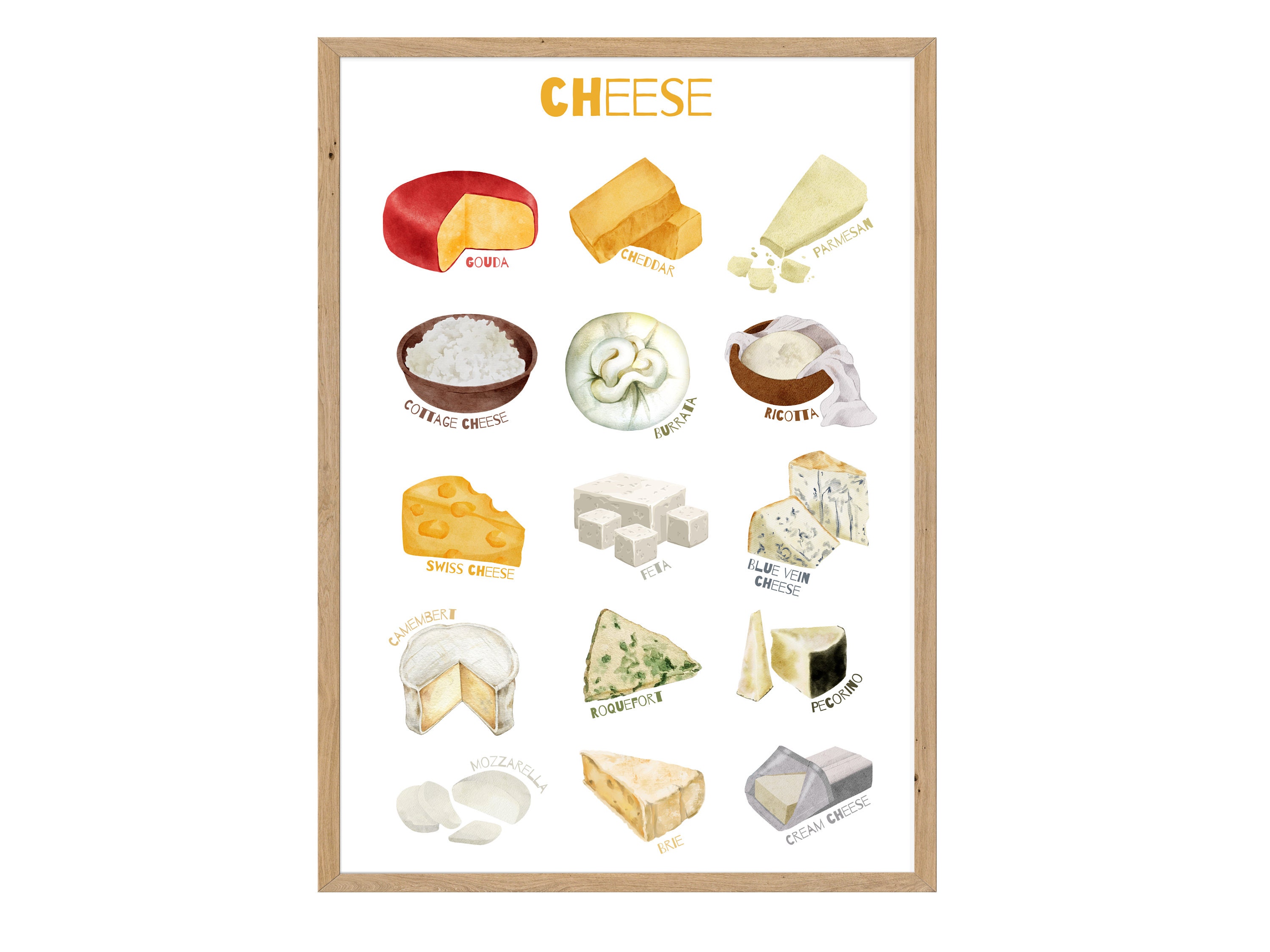 Cheese Educational Poster for Children | Printables| Educational ...