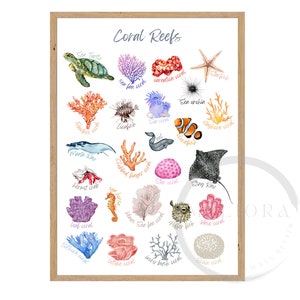 Animal Poster Children Nursery Decor Coral Reef Polar Desert Freshwater ...