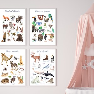 Animal Poster Children Nursery Decor Coral Reef Polar Desert Freshwater ...