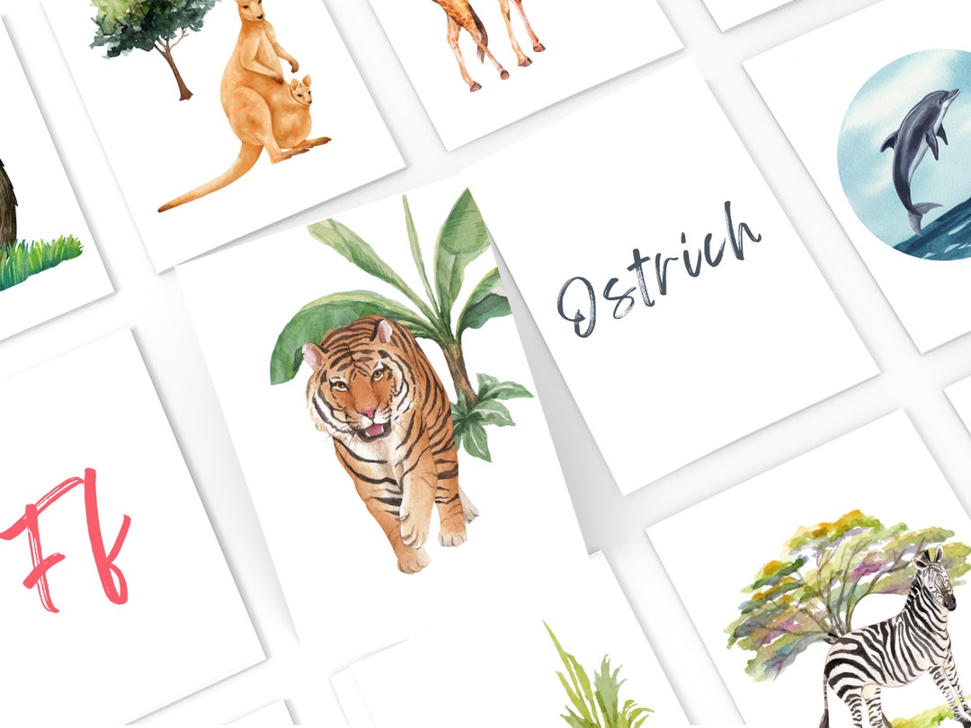 Poster Flashcard Children Education Animal Alphabet ABC A-Z Child ...