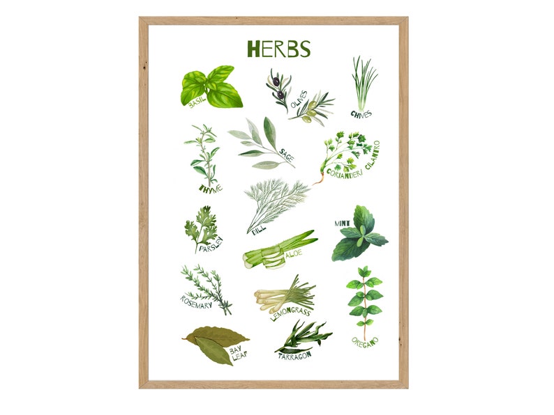 Herbs Poster for Children Nursery Decor Educational Poster Homeschool ...