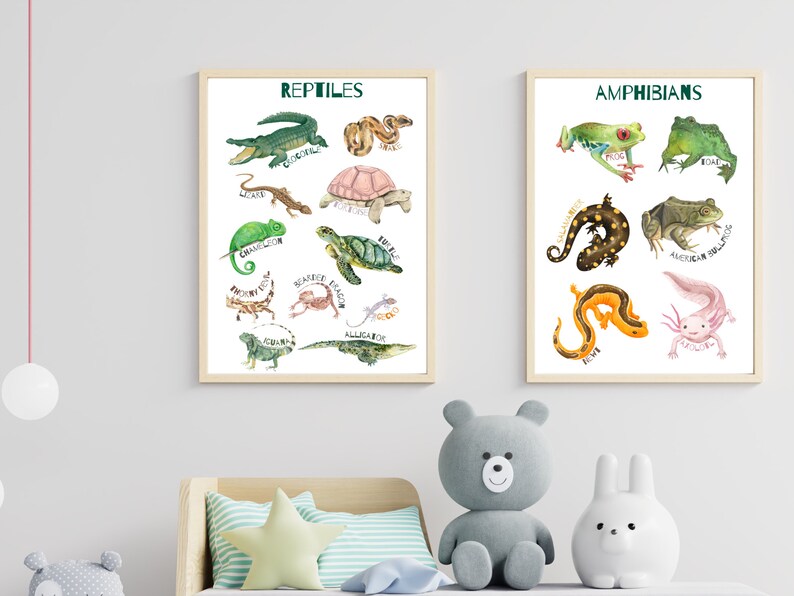 Nursery Decor Children Education Poster Wild Animal Farm Animal Insects ...