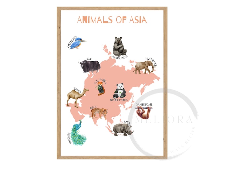World Map Continent Animals Children Educational Posters Set of 7 ...