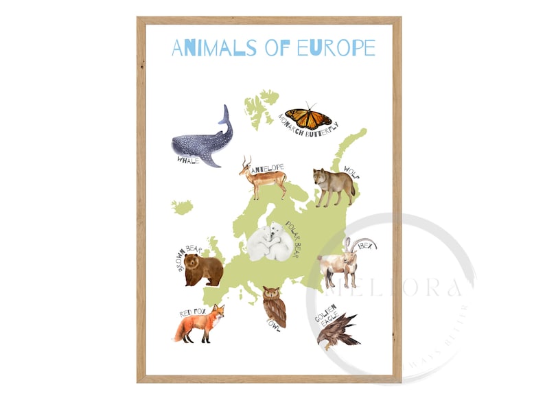 World Map Continent Animals Children Educational Posters Set of 7 ...
