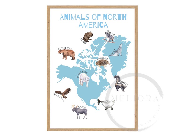 World Map Continent Animals Children Educational Posters Set of 7 ...