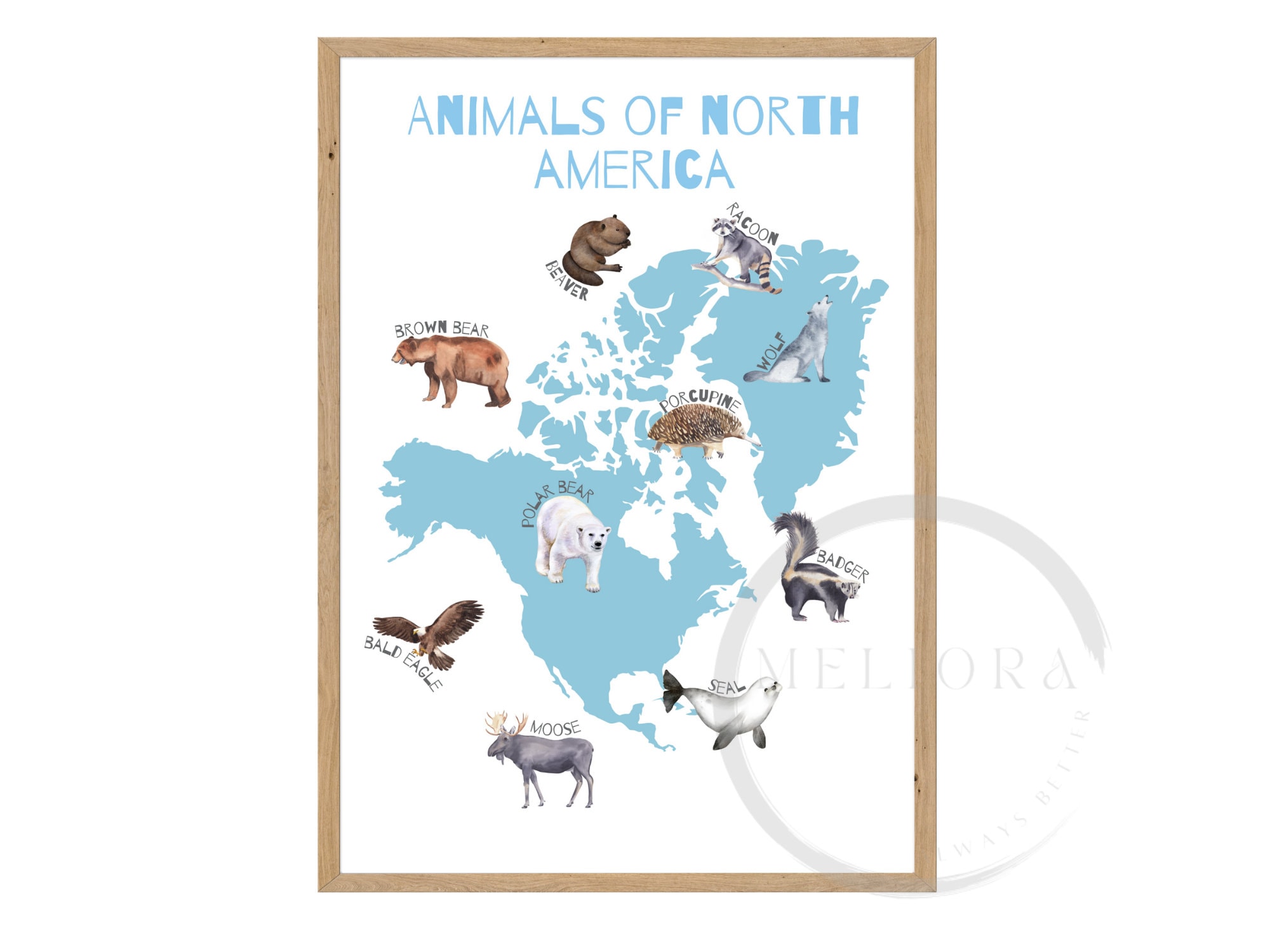 World Map Continent Animals Children Educational Posters Set of 7 ...