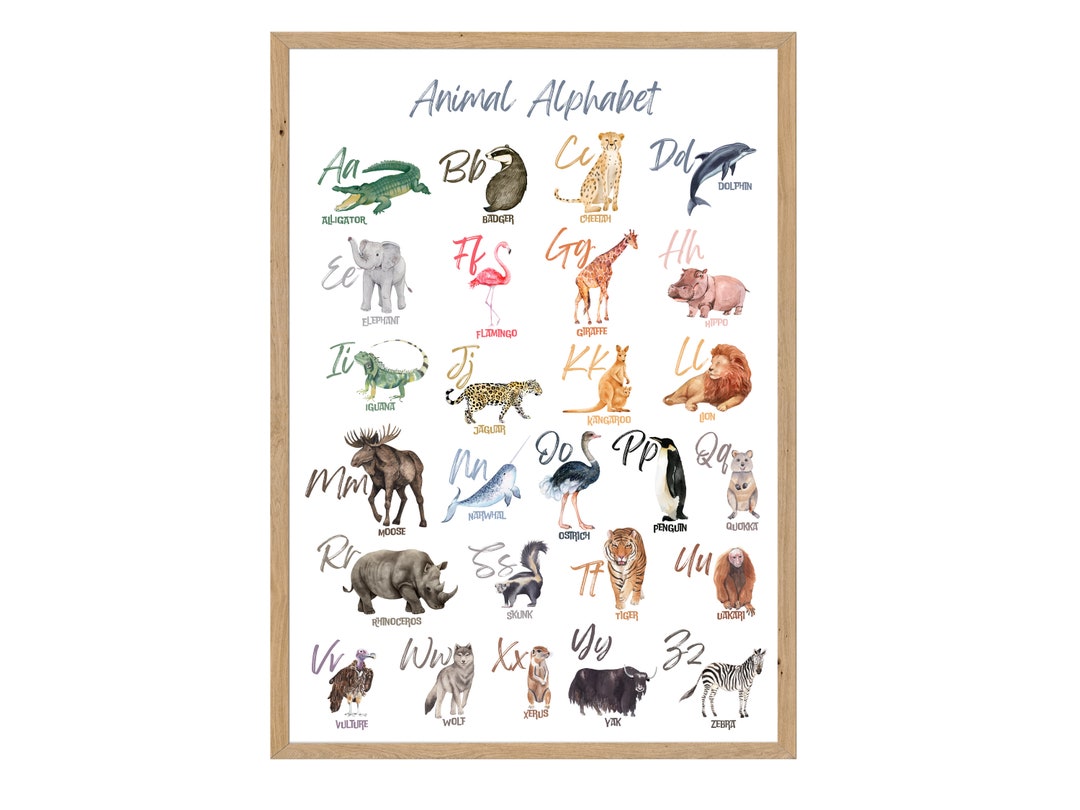 Abc Alphabet Educational Poster Children Printable Education Homeschool ...