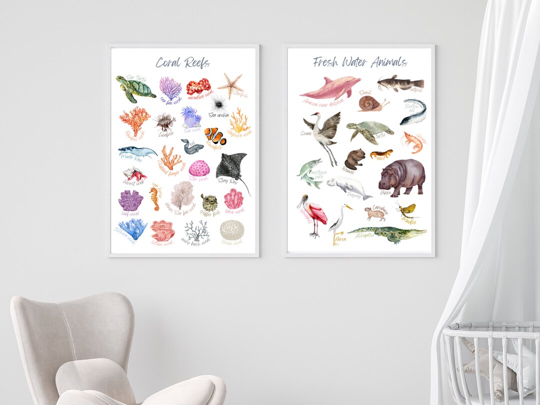 Animal Poster Children Nursery Decor Coral Reef Polar Desert Freshwater ...