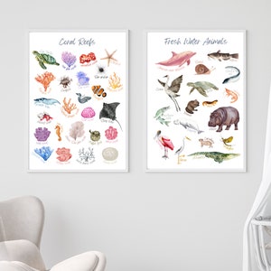 Animal Poster Children Nursery Decor Coral Reef Polar Desert Freshwater ...