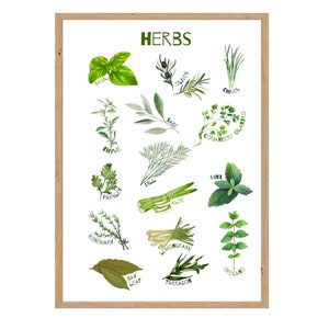Nursery Decor Children Education Food Classroom Bread Cheese Spice ...