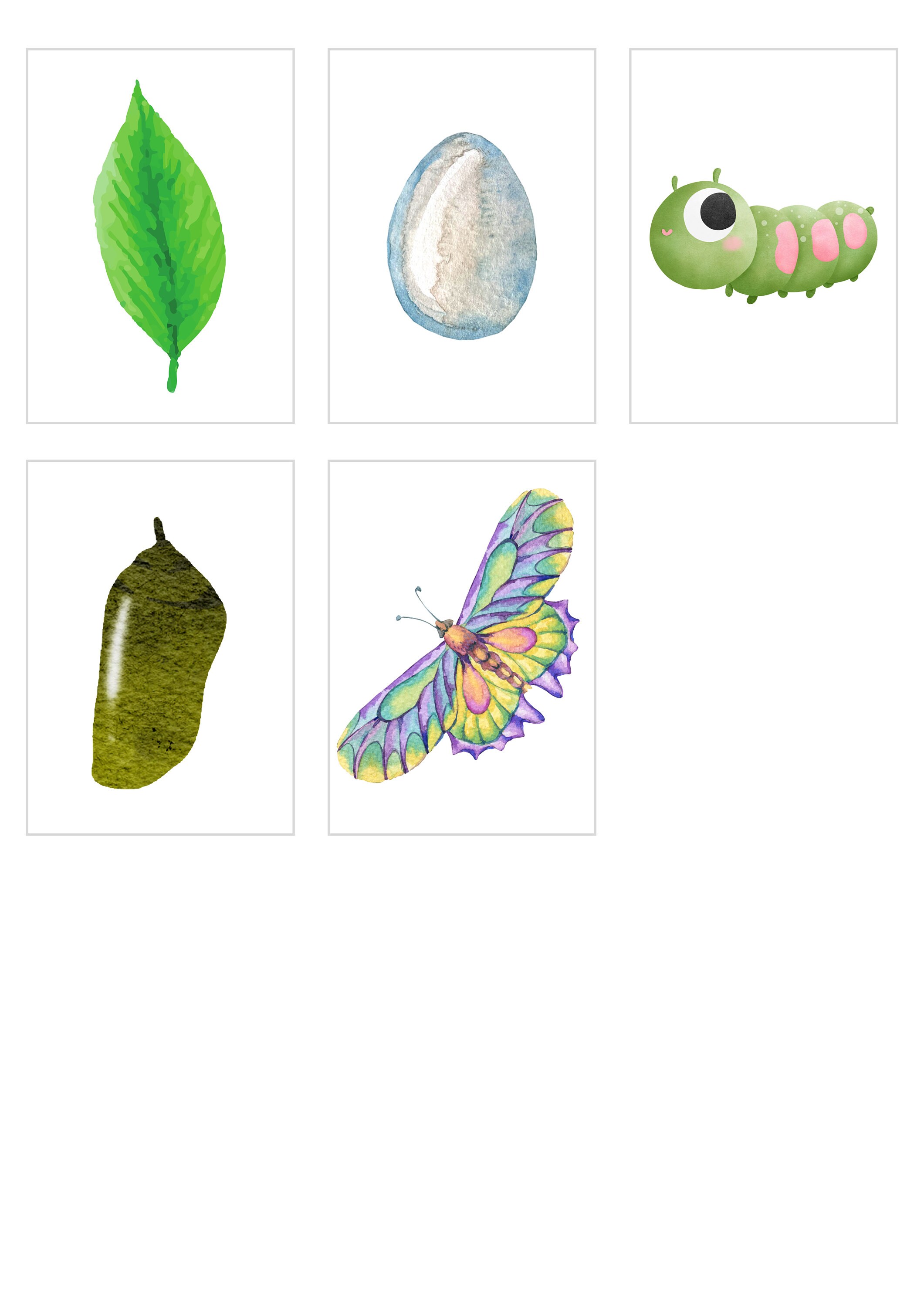 Hungry Caterpillar Poster Flashcard Children Education Eric Carle Book ...