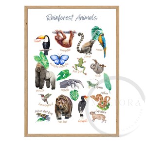 Animal Poster Children Nursery Decor Coral Reef Polar Desert Freshwater ...