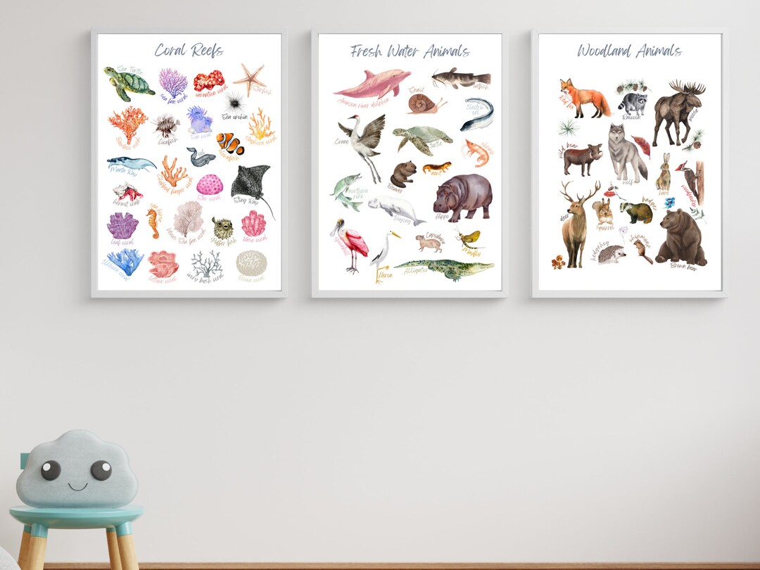 Animal Poster Set - 7 Posters Children Nursery Decor Coral Reef Polar ...