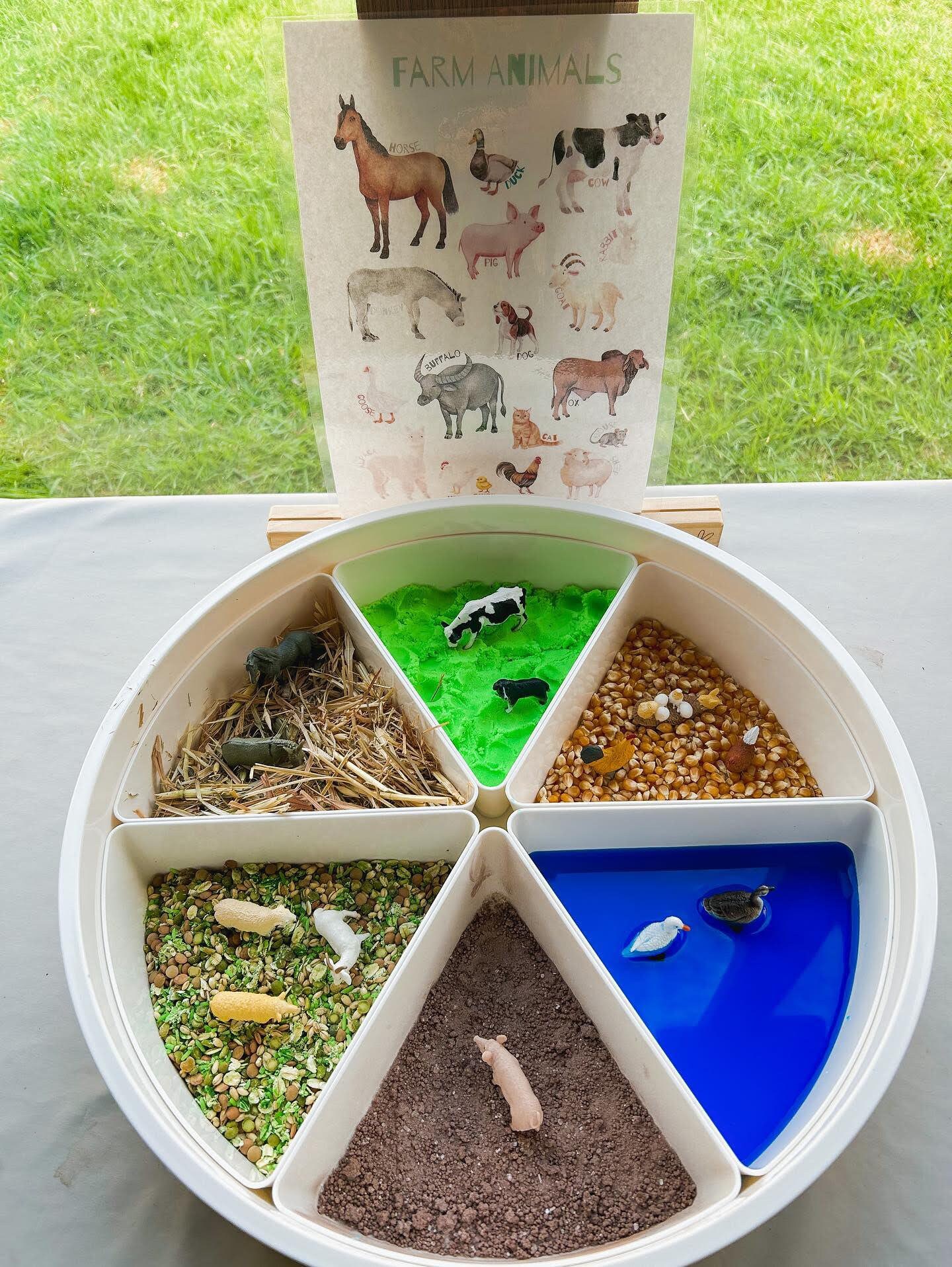 Nursery Decor Children Education Poster Wild Animal Farm Animal Insects ...