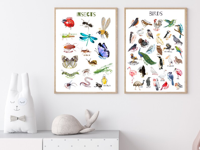 Nursery Decor Children Education Poster Wild Animal Farm Animal Insects ...