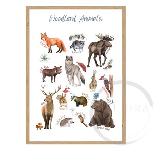 Animal Poster Children Nursery Decor Coral Reef Polar Desert Freshwater ...