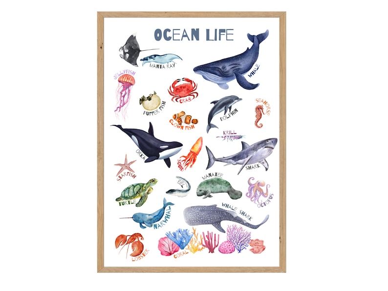 Ocean Life Educational Poster for Children Printables - Etsy