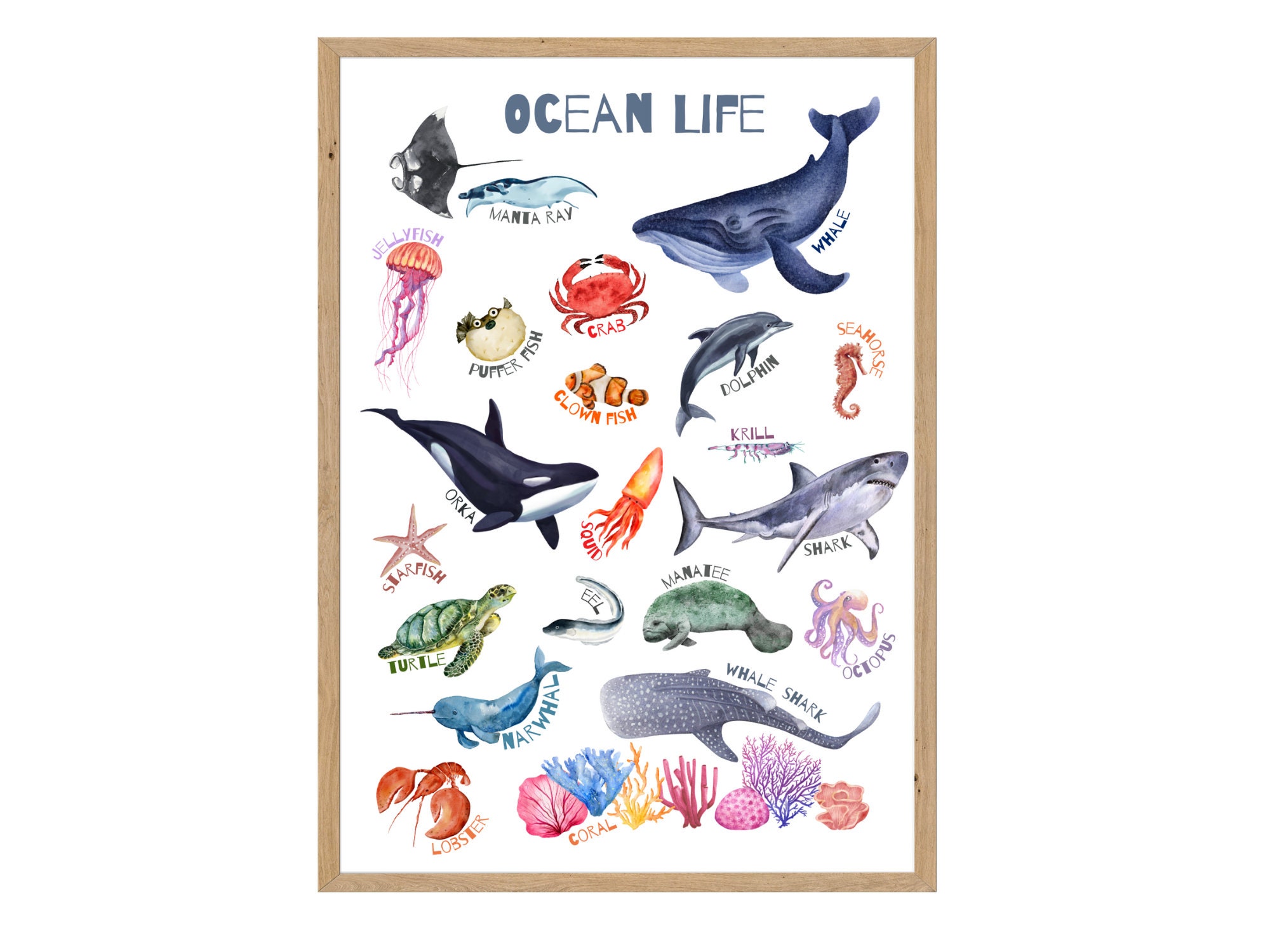 Ocean Life Educational Poster for Children | Printables| Educational ...