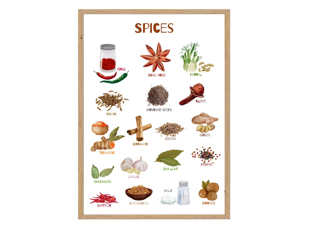 Spice Educational Poster for Children | Printables| Educational ...