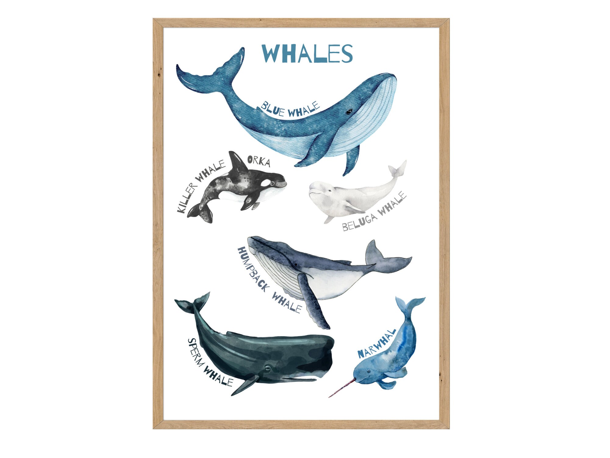 Whales Educational Poster: Ocean Animals, Homeschool Decor (digital ...