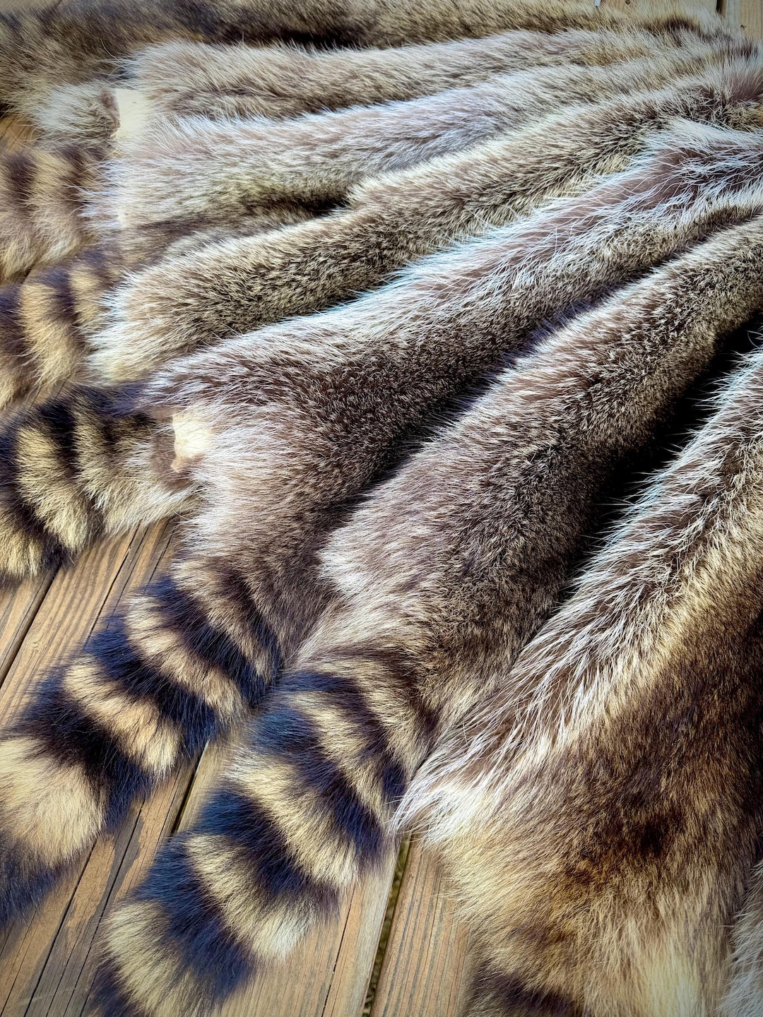 Maine Raccoon Pelt, Prime Northern Heavy Raccoon, Professionally Soft ...