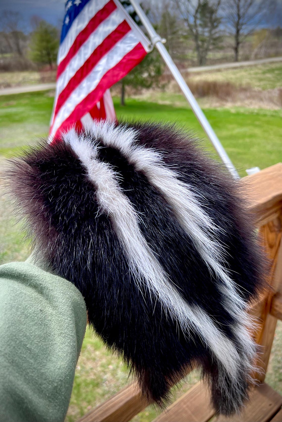 Maine Skunk Pelt, Prime Northern Skunk, Professionally Soft Tanned - Etsy