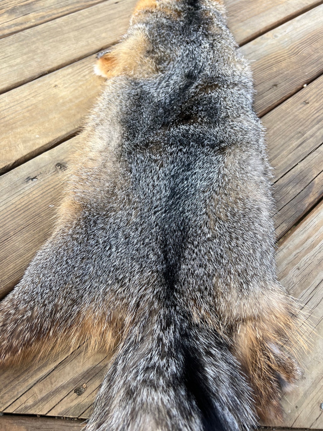 Maine Gray Fox Pelt, Prime, Northern, Professionally Soft Tanned - Etsy